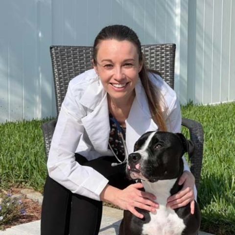 Saint Petersburg, FL 33710 Veterinarians | Dr. Danielle Lore
